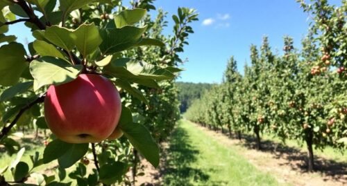 15 Best Apple Orchards in Georgia (2026 Guide to U-Pick Farms) - Coffee ...